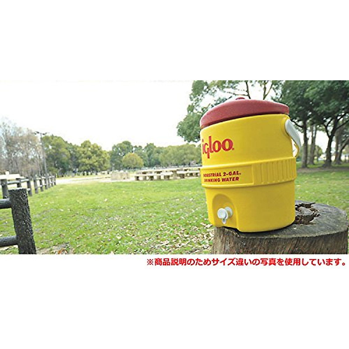 Igloo 400 Series 3 Gallon, One Size, Red/Yellow