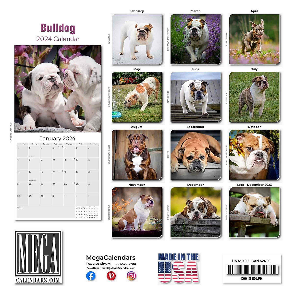 2023 2024 Bulldog Calendar - Dog Breed Monthly Wall Calendar - 12 x 24 Open - Thick No-Bleed Paper - Giftable - Academic Teacher's Planner Calendar Organizing & Planning - Made in USA