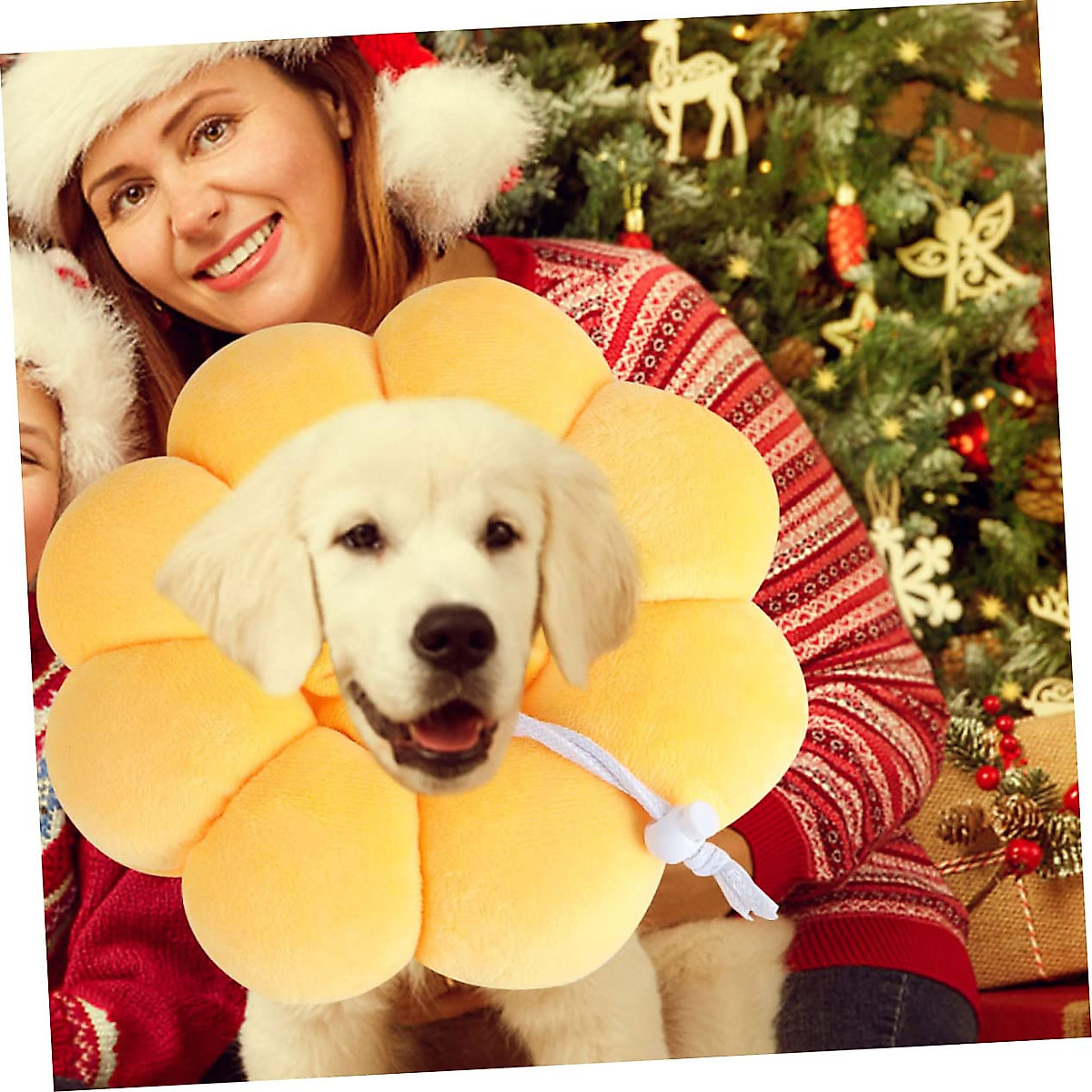 balacoo 3pcs Compound Cone Collar Breathable cat Collar Adjustable cat Collar pet Recovery Cone cat Recovery Collar cat cat Neck Collars Dog Cone Donut Decor Portable Cotton