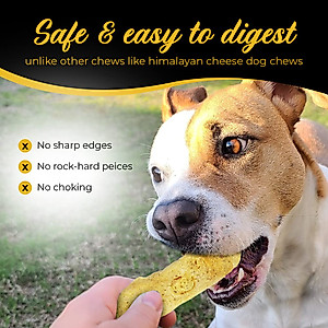 Cheesy100 Cheese Dog Chews| US-Crafted for Puppies & Dogs |6oz (3 pcs)| Softer Natural Alternative to Himalayan Dog Chews & Yak Chews| Salt & Rawhide-Free| Tastier Than Yak Cheese Himalayan Dog Chews