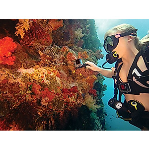 GoPro Gooseneck (All GoPro Cameras) - Official GoPro Mount