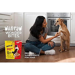 Wildpaw WonderBites for Healthy Skin and Coat - Skin & Coat Health Supplement for Dogs - Salmon Fish Oil Supplement - Hemp Chews for Dogs with Zinc - 90 Soft Chews