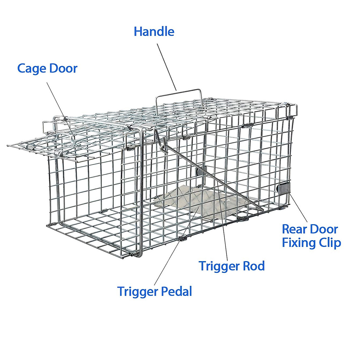 Gingbau Live Animal Trap for Squirrels