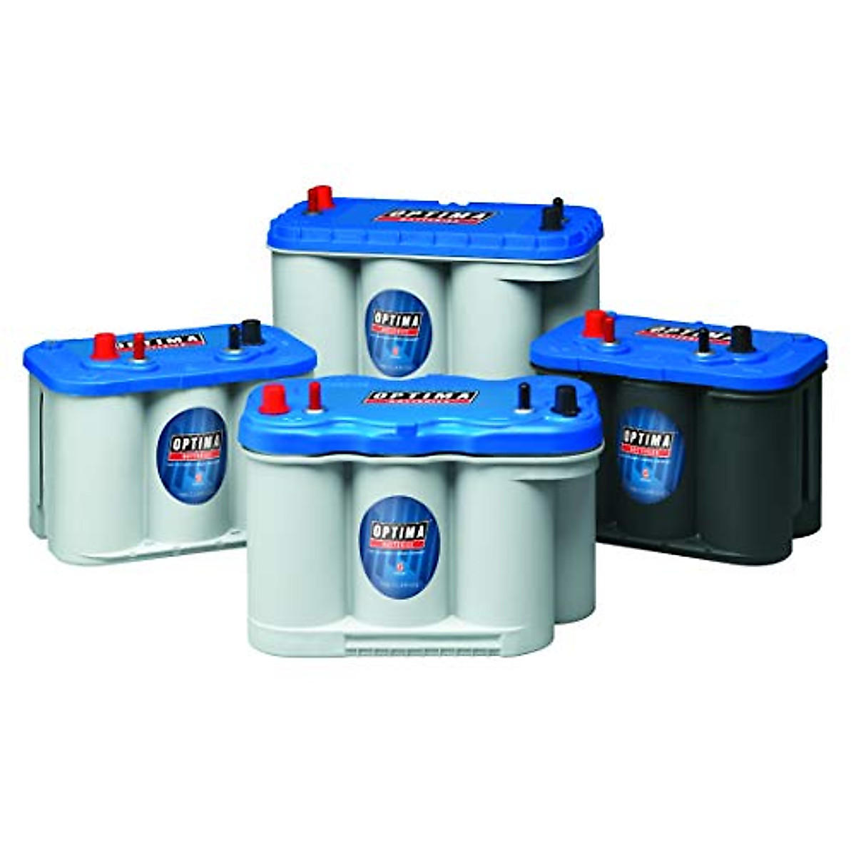 OPTIMA Batteries High Performance D31M BlueTop Dual Purpose Deep Cycle and Starting Sealed AGM Boat and RV Battery, 900 CCA, Dual Terminal, Maintenance Free, Versitile Mounting