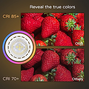 Torkase 10 Pack MR16 LED Bulbs, 5W 12V, GU5.3 Bi-Pin Base, 40 Degree Spot Light, 50-Watt Equivalent, 500-Lumen, Non-Dimmable, 3000K Warm White Landscape Track Lighting