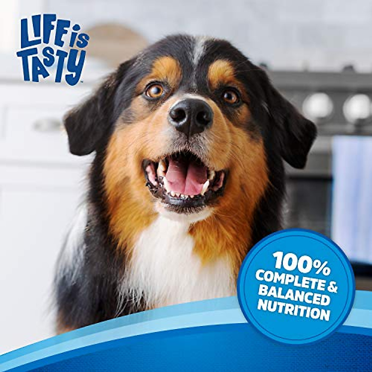 Kibbles 'n Bits Original Savory Beef & Chicken Flavor Dry Dog Food, 31-Pound