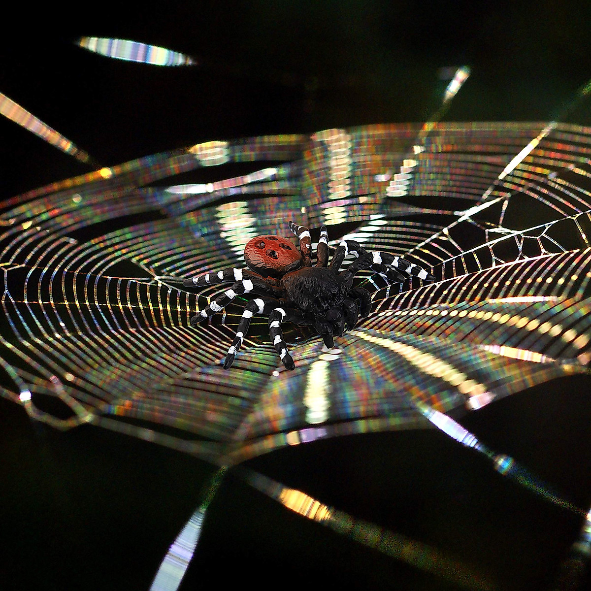 Toymany 12PCS Realistic Bugs Figures Toys - Plastic Insects Figurines Set with Bee Beetle Mantis Spider Ladybug Butterfly Scorpion - Halloween Party Favor School Project Gift for Kids Toddlers