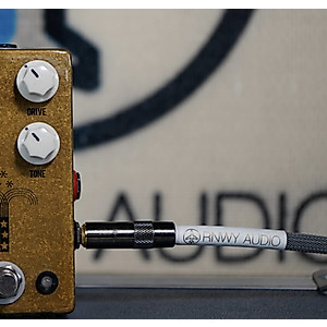 Runway Audio Instrument Cable - Lowest Capacitance Cable on The Market (10ft, Straight to Straight, Aqua-Blue)