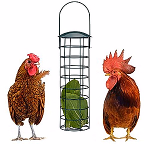 lanermoon Chicken Foraging Coop Toys for Hens,Hanging Iron Feeding Treat Box,Parrot Bird Vegetable Veggie Feeder Toys (Green)