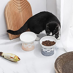 TAMAYKIM Tilted Ceramic Elevated Cat Bowls, Food and Water Raised Bowl Set for Kitty Cats and Small Dogs, Porcelain Elevated Stress Free Feeding Pet Bowl Dish, Set of 2