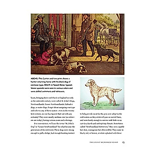 The Golden Retriever: An Authoritative Look at the Breed's Past, Present, and Future (CompanionHouse Books) In-Depth History in the U.S. and U.K., the AKC Standard, and More (Kennel Club Classics)