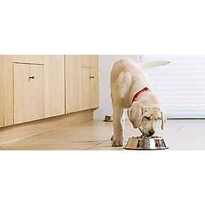 PET SUPPLEMENTS Digestive Dog Chews - Dog Digestive AID - PROBIOTICS - Powerful Formula - Beef Liver Treats - 3 Bottle (180 Chews)