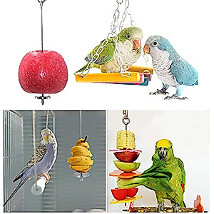 2X Parrot Skewer Bird Food Holder Stainless Steel 304 Parrot Fruit HolderToy Foraging Hanging Food Feed Tool Bird Cage Accessories