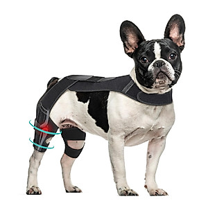 Petdream Dog Knee Brace with Vest, Support Dog Acl Brace for Hind Leg Torn, Adjustable Dog Rear Leg Braces for Cruciate Ligament Injury, Joint Pain Relief and Arthritis (Double, 2)