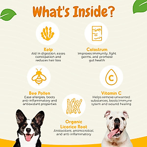 Inner Paw Dog Allergy Chews – 120 Soft Chews for Dog Allergy Relief – Natural Vegetable Flavor Allergy Immune Supplement for Dogs – Soothing and Calming Dog Treats