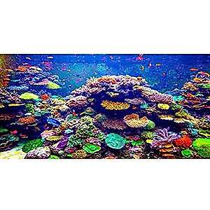AWERT Undersea Theme Aquarium Background 36x18 inches Polyester Background Colorful Coral Tropical Fish Underwater World Fish Tank Background