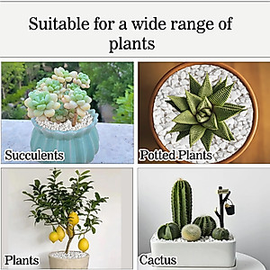 AHSNYLC White Succulent Pebbles - 880G Small White Pebbles Garden Pebbles White Pebbles for Vases,Snow White Pebbles,White Stone White,Aquarium Rocks for Plants,Garden,Fish Tank,Vases, Succulents