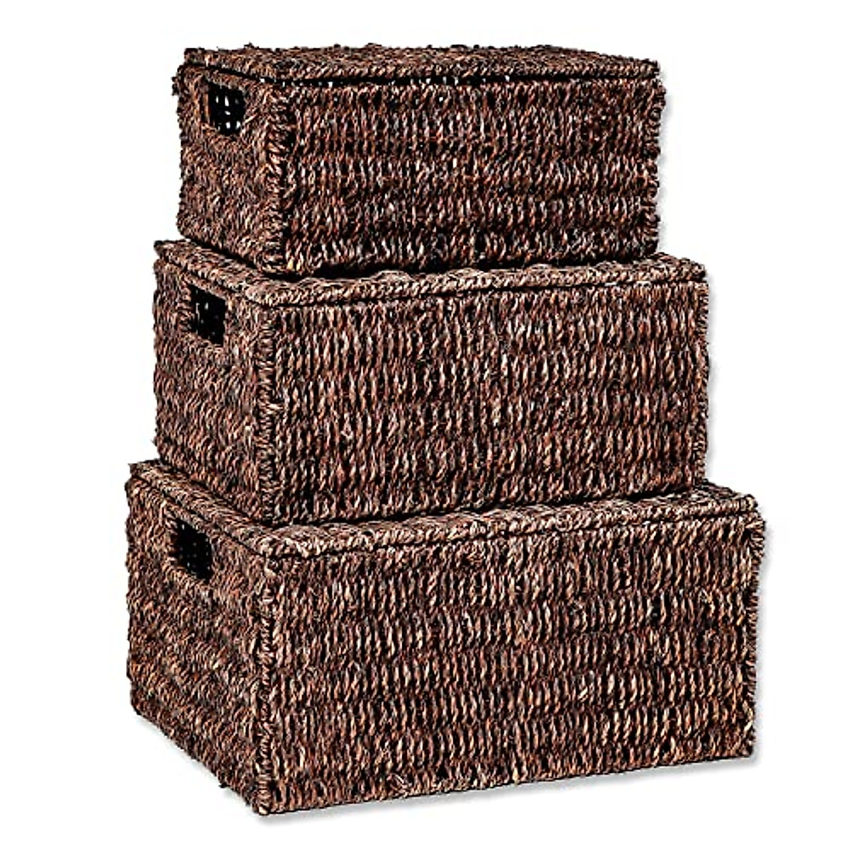 Set of 3 Rectangular Seagrass Baskets with Lids by Trademark Innovations