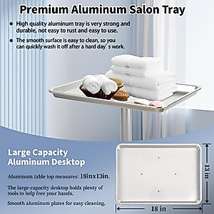 Salon Tray Cart on Wheels-Height Adjustable Color Tray-Salon Service Rolling Tray-Premium Aluminum Color Tray for Hair