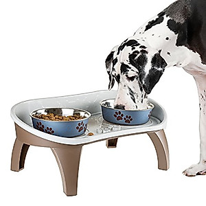 Elevated Pet Feeding Tray with splash guard and non-skid feet 21in x 11in x 8.5in by PETMAKER