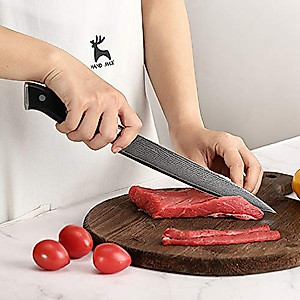 Slicing Knife 8 Inch, Carving Brisket Kitchen Knife Forged with VG10 Super Steel 67-Layer Damascus, Non-slip ABS Ergonomic Triple Rivet Handle, Razor Sharp Lightweight Multipurpose