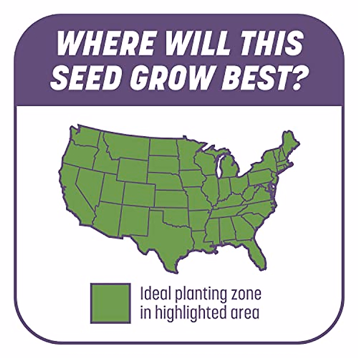 Pennington Smart Patch Dense Shade Mix Jug 5 lb