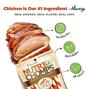 NutriChomps Dog Chews – 5-inch Twists, Easy to Digest, Rawhide-Free Dog Treats, Healthy, 10 Count, Real Chicken Flavor, Bundle of 2 (NT062V-2)