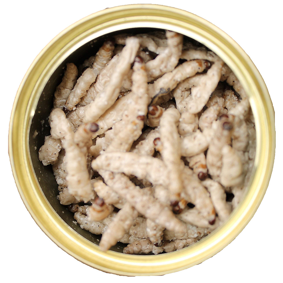 Canned Caterpillars (1.2 oz. 6 Pack) - Healthy High Protein Insect Treat - Hedgehogs, Sugar Gliders, Reptiles, Wild Birds, Chickens, Lizards, Bearded Dragons, Skunks, Opossums, Fish, Amphibians