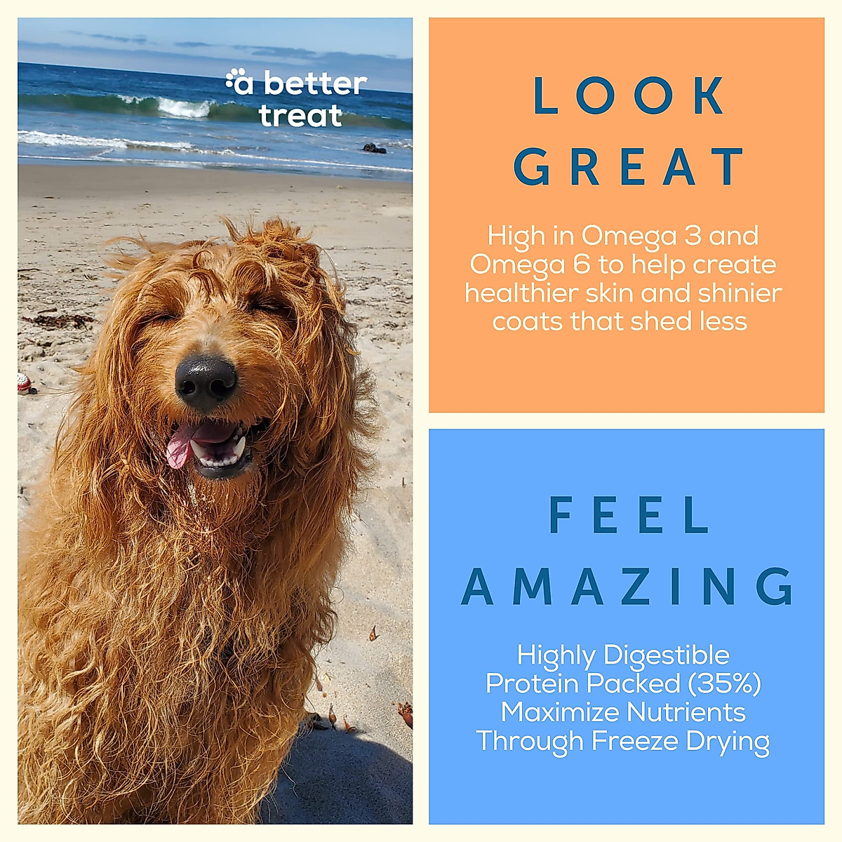 A Better | Salmon Dry Dog Food | Raw You Can See | High Protein Kibble + Freeze Dried Raw Dog Food