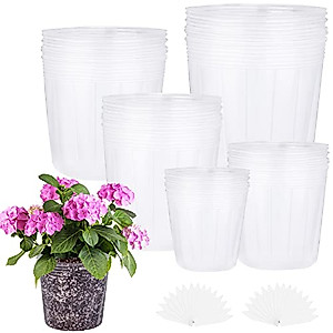 ELCOHO 30 Pack Plants Nursery Pot Soft Clear Plastic Planter 6.7/6/5/4/3 Inch Seed Starting Pots Flower Plant Pots with Drainage Hole Plant Container with 30 Labels for Seedlings Succulent Vegetable