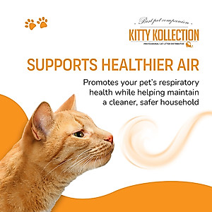 Kitty Kollection - Premium Bentonite Cat Litter, Easy-to-Clump Super Absorbent Kitty Litter with Excellent Odor Control, Toxin-&-Dust-Free Unscented Cat Litter, 5L