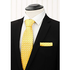 HISDERN Lot 3 PCS Classic Men's Tie Set Necktie & Pocket Square Elegant Neck Ties Collection,T3-08,One Size