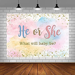 Lofaris Watercolor Clouds He or She Gender Reveal Backdrop Rainbow Boy or Girl Baby Shower Background Glitter Confetti Sprinkles Pink or Blue What Will Baby Be Party Decor Cake Table Supplies 5x3ft
