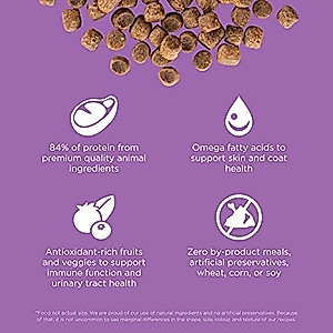 GO! SOLUTIONS Carnivore Grain Free Dry Cat Food, 3 lb - Chicken, Turkey + Duck Recipe - Protein Rich Dry Cat Food - Complete + Balanced Nutrition for All Life Stages