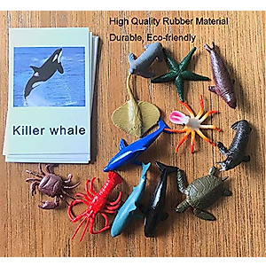12 pcs Ocean Sea Animal Figures with 12pcs Matching Cards - OOTSR Ocean Creatures with Flash Cards for Education, Insect Themed Party, Playtime and Treasure Hunt