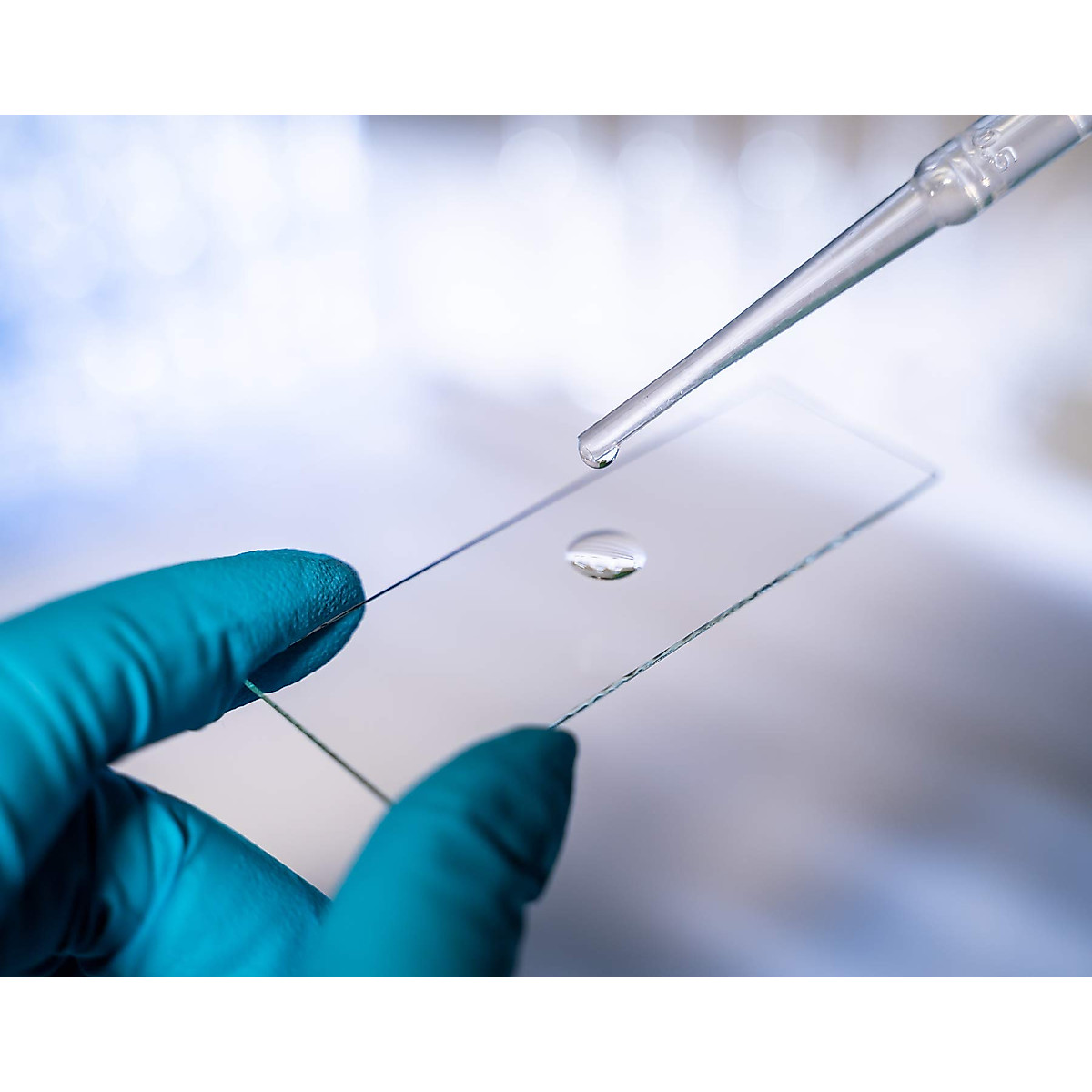 AmScope BS-50P-100S-22 Pre-Cleaned Blank Ground Edge Glass Microscope Slides and 100pc Pre-Cleaned Square Glass Cover Slips Coverslips