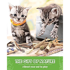 Catnip Chew Toys for Cats, 12 Pack Natural Silvervine Sticks for Kittens Teeth Cleaning, Matatabi Dental Care, Increase Appetite, Calm Cat Anxiety and Stress, Aggressive Chewers Cat Dental Toy