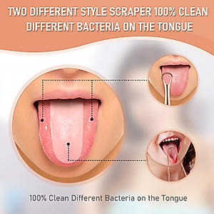 HLFLYG 4 Pack Tongue Scrapers, Hygienic Seal-Pack, Professional Eliminate Bad Breath, Metal Tongue Brush,Effectively Improve Oral And Gut Health - Rose gold