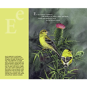 H is for Hawkeye: An Iowa Alphabet (Discover America State by State)