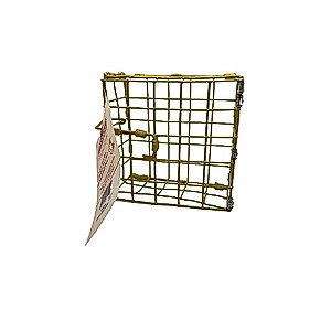 Protoco Bait Box, Medium, 6 X 6 X 3-Inch