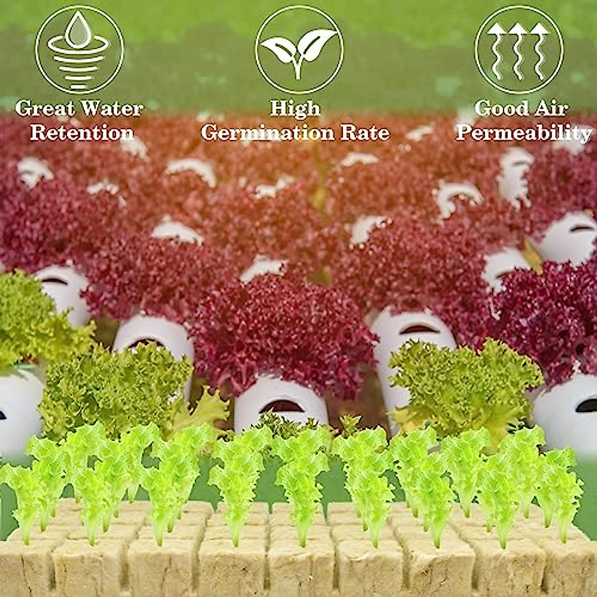 Halatool 1.2 inch Rockwool Cubes Garden Stonewool Grow Cubes Starter Plugs for Hydroponics Soilless Cultivation Seedlings Cuttings Clone Plants (4 Sheets, 144 Plugs in Total)
