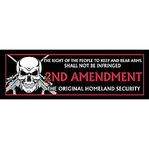 Magnet 3x9 inch 2nd Amendment Original Homeland Security Bumper Sticker - Guns NRA arms Magnetic Magnet Vinyl Sticker