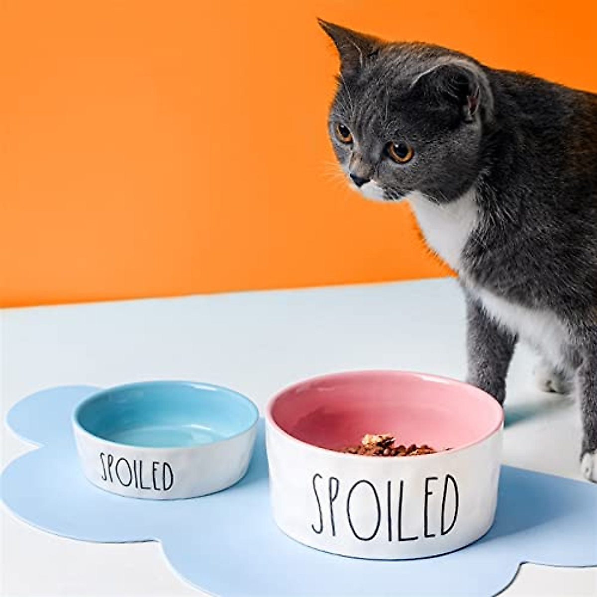 FUUIE Bowls for Food and Water Large Capacity Cat Ceramic Bowl Big Dog Food Water Feeder Pet Drink Eat Feeding Accessories Puppy Kitten Dish Bowls (Color : Blue)