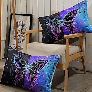 Datura home Bedding Fitted Sheet and Flat Sheet Set 4Pcs Black Blue Butterfly Printed Bedding Set with 1 Flat Sheet and 1 Fitted Sheet + 2 Pillowcases for Girls (Black Blue Butterfly Full)