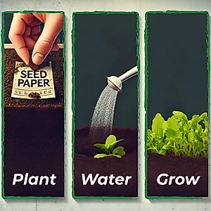 Green Field Plantable Seed Paper Hearts – 24 Cards & Envelopes Wildflower Tree Free Sustainable Art Paper for Wedding, Birthday, Bridal Shower, Life Celebration Favors, Funeral Thank You Cards