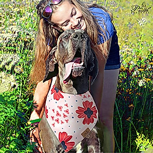 Pawsh Bandanas for Dogs – 10 Pack Handmade Reversible Pet Bandana for Dogs & Cats with Matching Bow or Bow Tie – Adjustable, Soft Dog Scarf Triangle Bibs for Small, Large & Extra Large Breeds