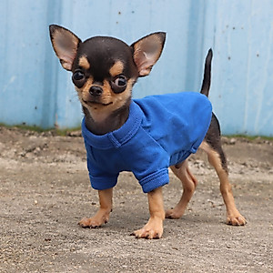 LOPHIPETS 100% Cotton Dog Tee Shirt for Small Dogs Teacup Chihuahua Yorkie Puppy Clothes-Blue/XXS