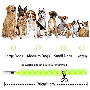 LaRoo LED Light Up Dog Collar, Cutable Silicon USB Rechargeable Glow Light Collar for All Dogs, Waterproof 3-Modes Flashing Dog Collar for Dark Outdoor Training Playing (27.5 inch/70cm)
