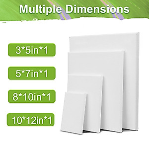4 Packs Stretched Canvases for Painting with 3x5in,5x7in,8x10in,10x12in, Primed Canvas,Blank Painting Canvas for Oil & Acrylic Paint.