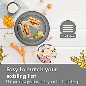 Teivio 32-Piece Kitchen Plastic Wheat Straw Dinnerware Set, Service for 8, Dinner Plates, Dessert Plate, Cereal Bowls, Cups, Unbreakable Colorful Plastic Outdoor Camping Dishes, Grey